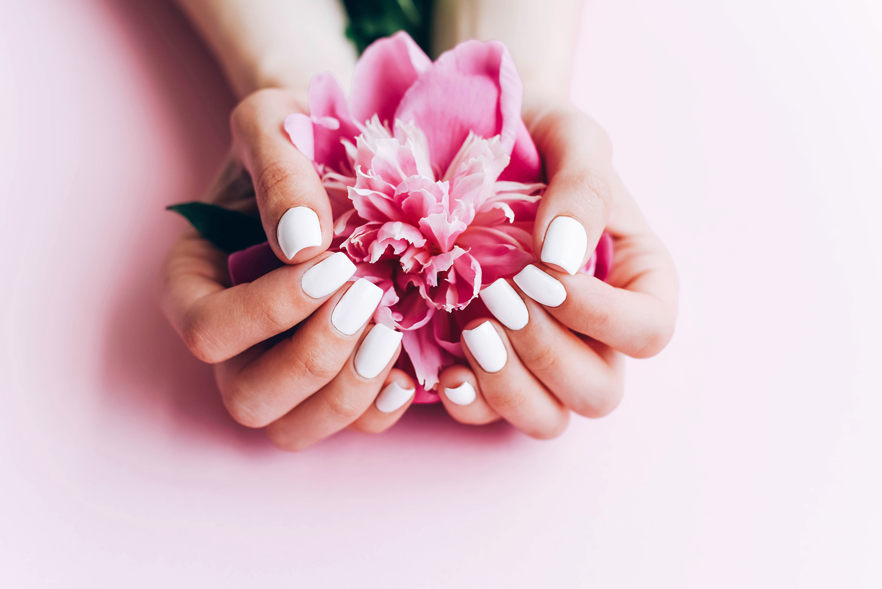 Online Complete Nail Technician Course | The Beauty Training School