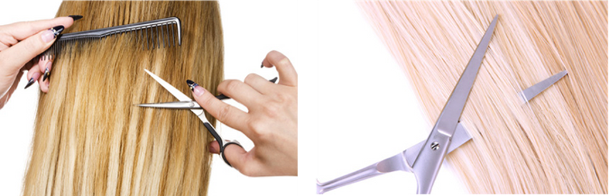 Razoring, Blending and Cutting Extensions - The Beauty Training School